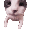 BetterTTV - catKISS by Deadyz