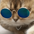 BetterTTV - catJAM by EpicDonutDude_