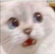 BetterTTV - CatWAT by AlwaysCalatar