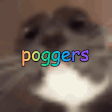 BetterTTV - POGGERS by Rekagan