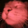 BetterTTV - CatJam by AwesomenessFish