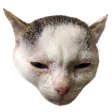 BetterTTV - Stare by OswaldVods