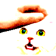 BetterTTV - CATPAT by HOODEEZBOX