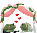 BetterTTV - frogeWedding by Loganolio
