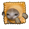 BetterTTV - Raviolicatrun by Loganolio