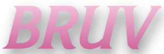 BetterTTV - BRUV by WowTitz