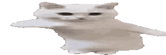 BetterTTV - wideTime by undiesbot